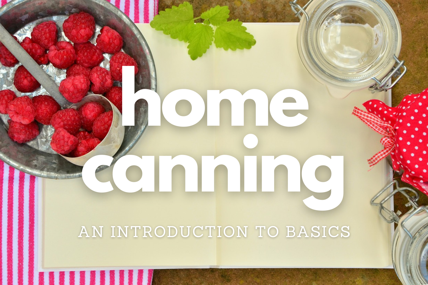 Home Canning - An Introduction to the Basics - Fickle Hobbyist
